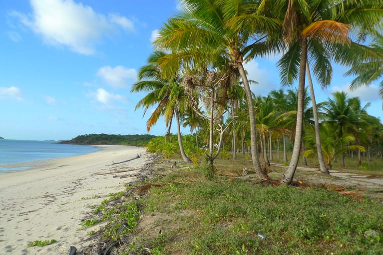 Projects - Badu Island Pump Station: Mullaly
